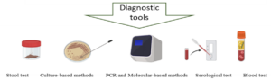 Diagnostic Tools For Detecting GI Infections - IFFGD